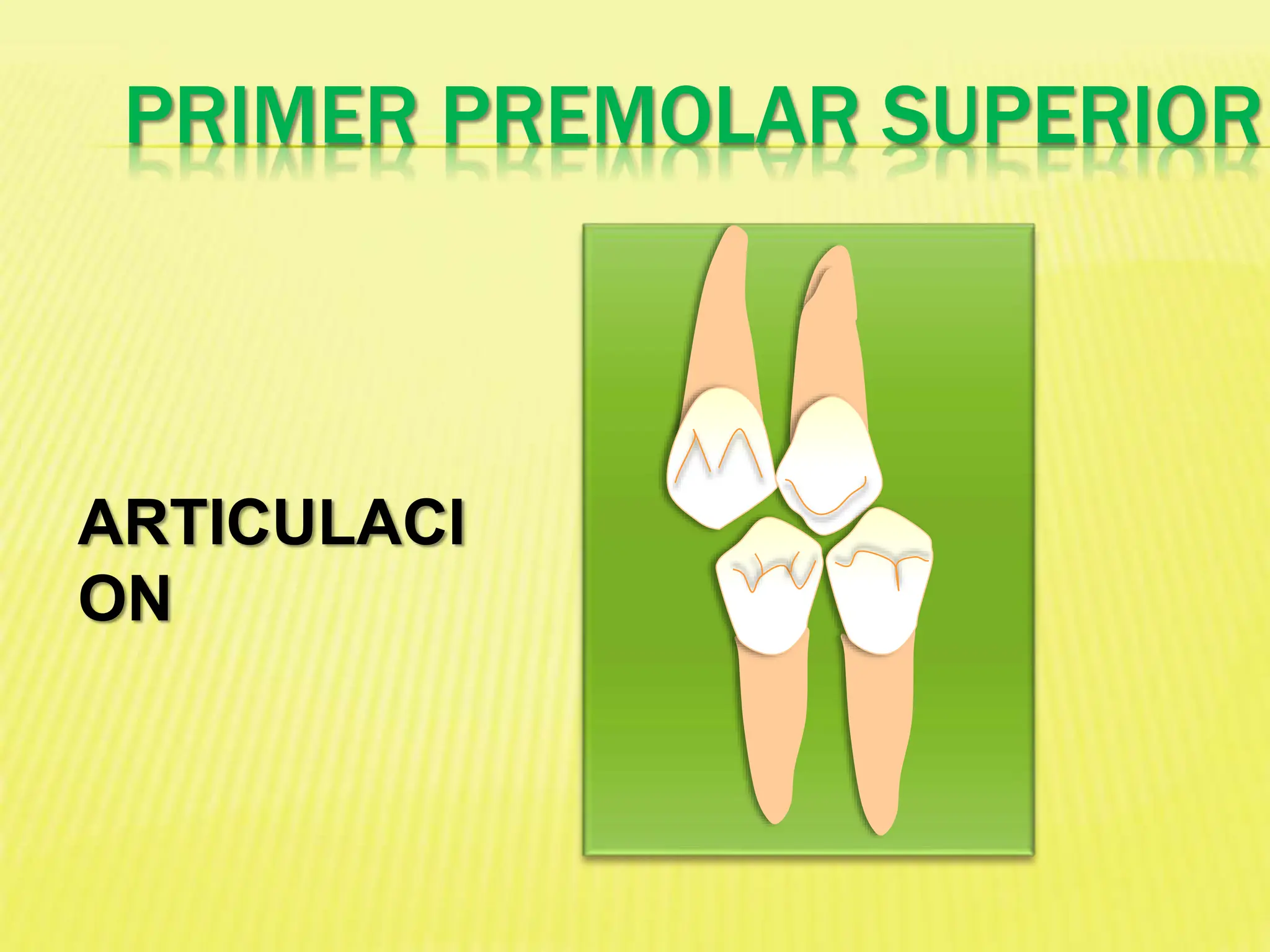 425775462-Grupo-Premolar guía superior y inferior .pptx