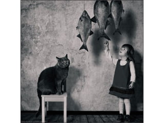 426-Andy Prokh Russian photographer | PPT