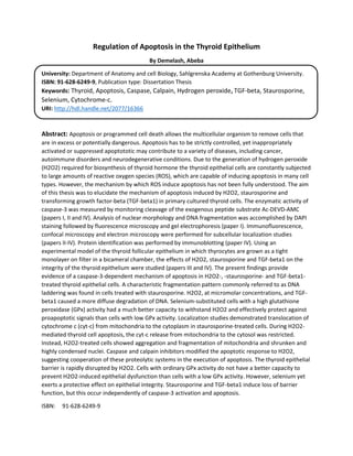 Dissertation Thesis by Abeba Demelash | PDF