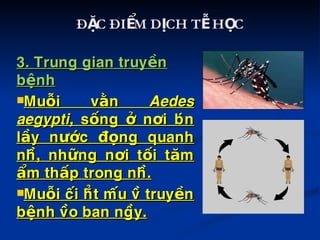 Bài giảng BỆNH SỐT XUẤT HUYẾT DENGUE | PDF
