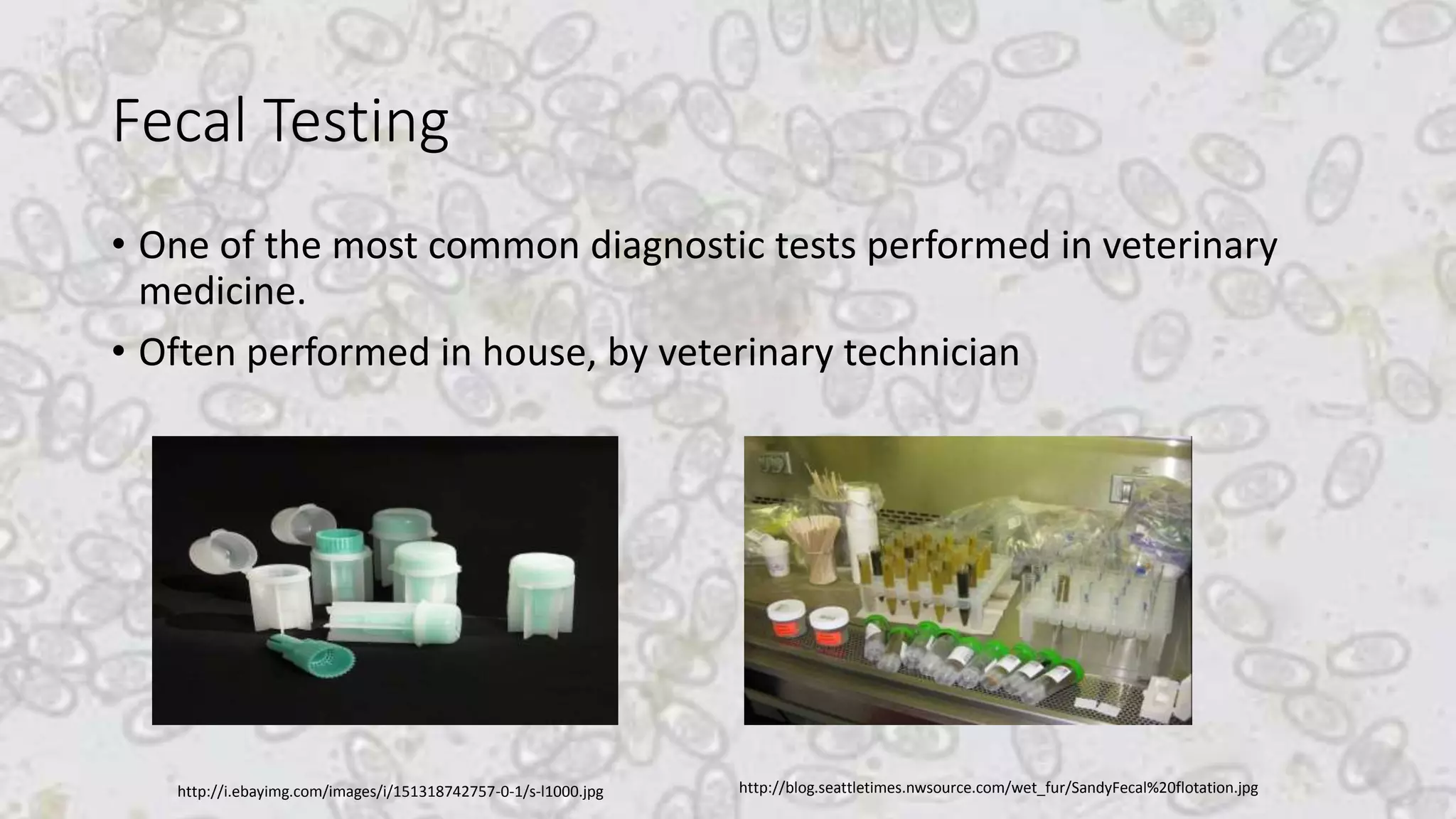 Fecal Parasite Screen | PPTX