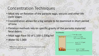 Fecal Parasite Screen | PPTX