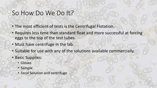 Fecal Parasite Screen | PPTX | Chemistry | Science