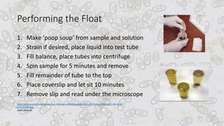 Fecal Parasite Screen | PPTX | Chemistry | Science