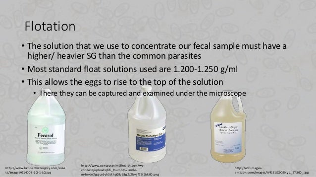Fecal Parasite Screen
