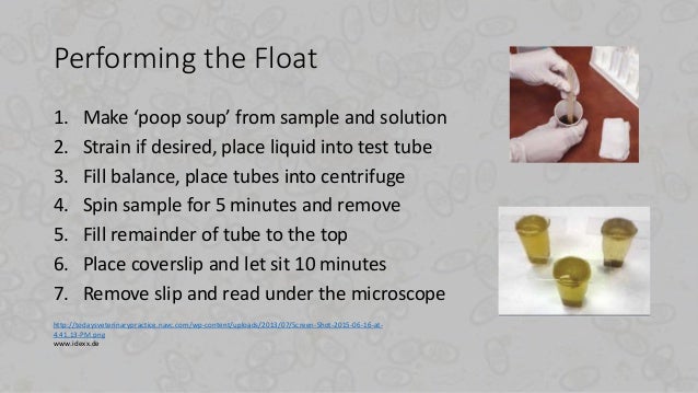Fecal Parasite Screen