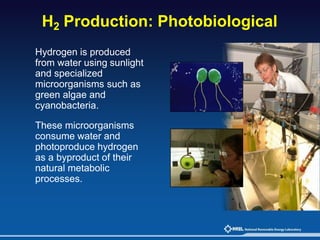 A good ppt on hydrogen production method | PPTX | Gasoline Prices | Economy