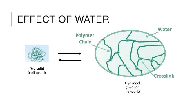 Hydrogel : 네이버 블로그