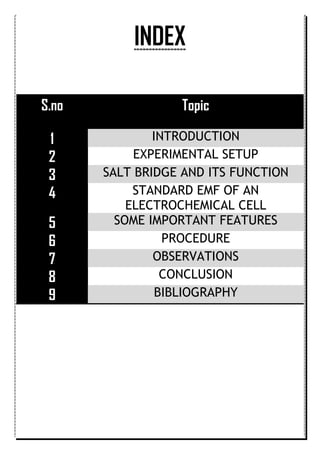 427963407-Chemistry-Project-on-Electrochemical-cell.pdf