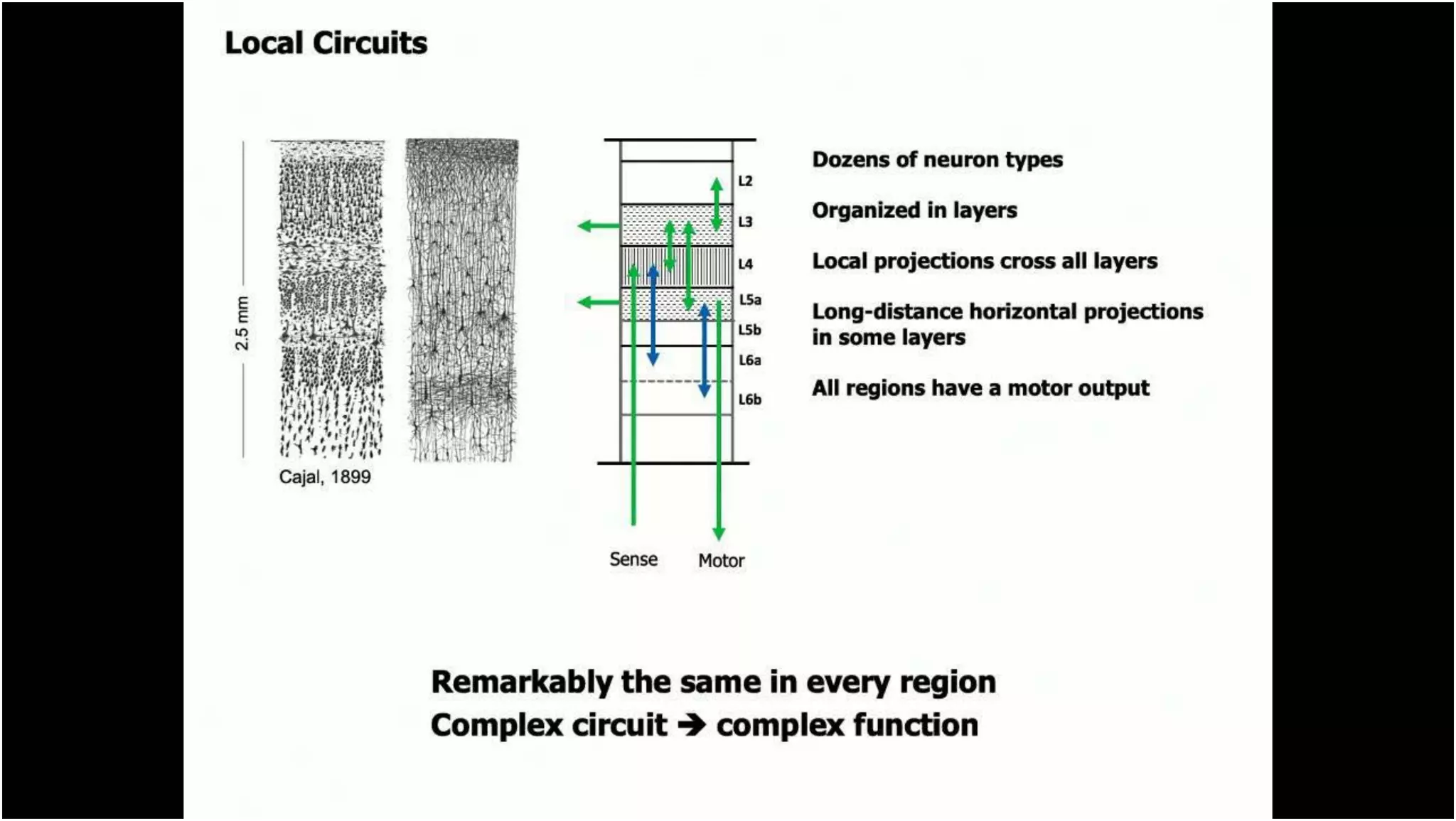 The Thousand Brains Theory: A Framework for Understanding the Neocortex and Building Intelligent ...