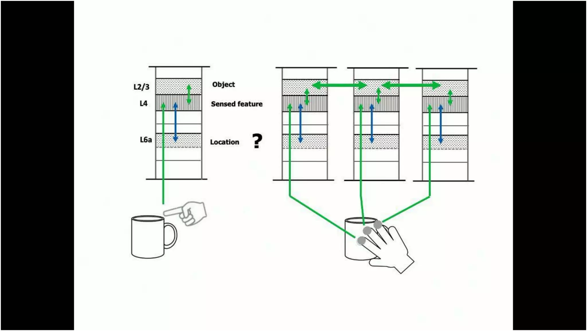 The Thousand Brains Theory: A Framework for Understanding the Neocortex and Building Intelligent ...