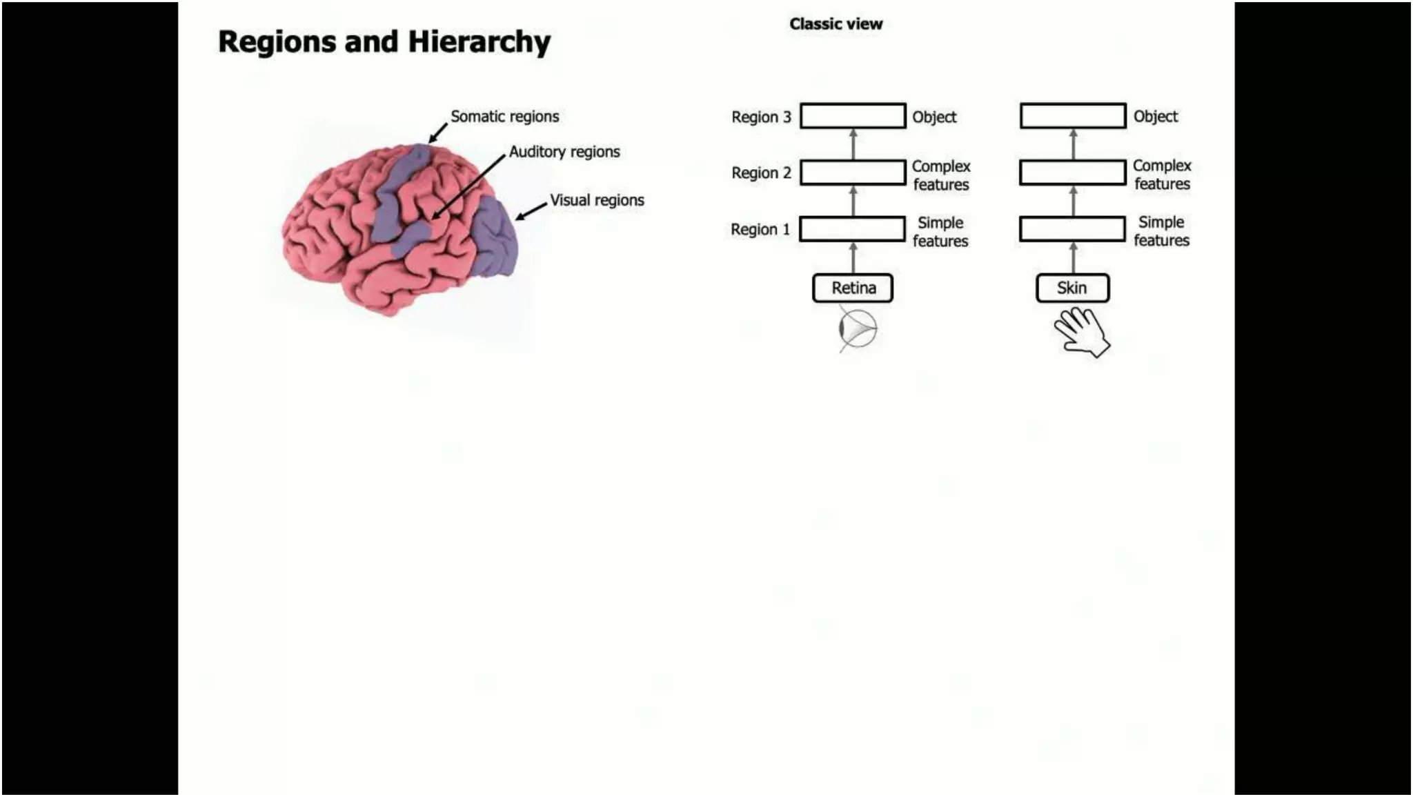 The Thousand Brains Theory: A Framework for Understanding the Neocortex ...