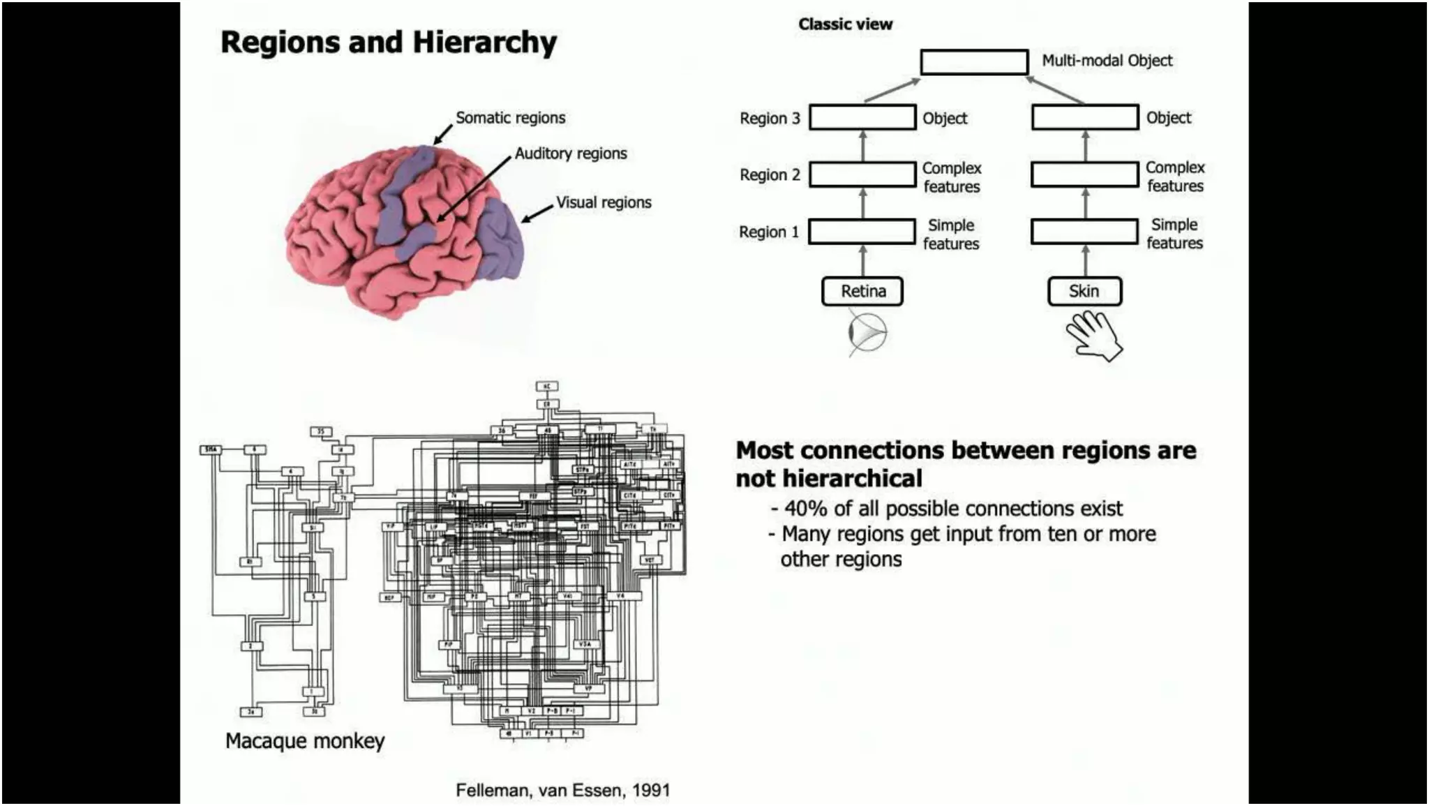 The Thousand Brains Theory: A Framework for Understanding the Neocortex and Building Intelligent ...