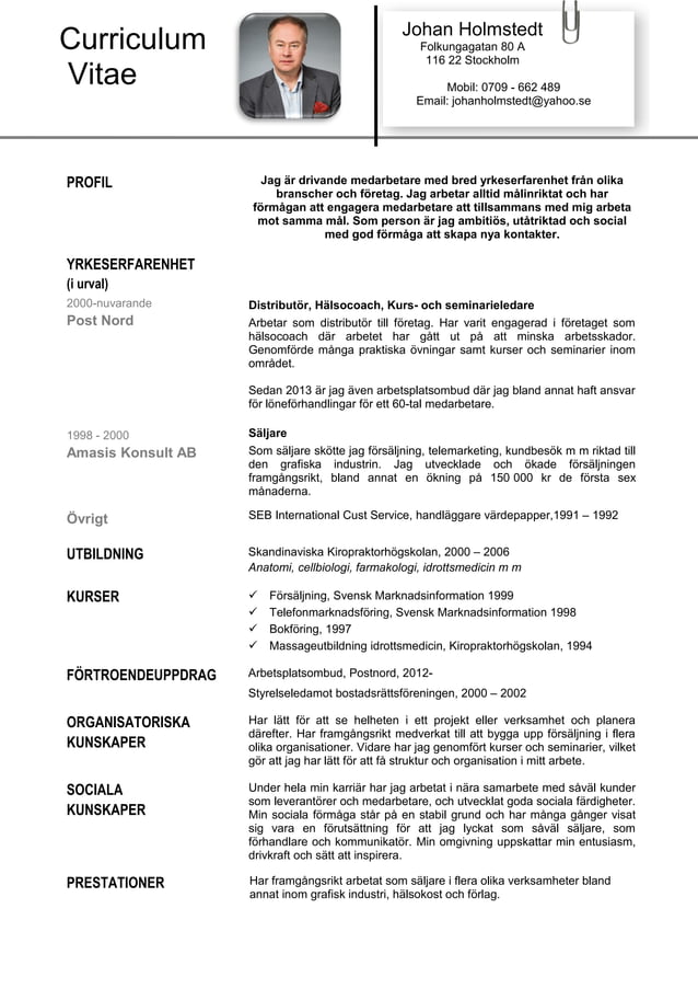 Johan Holmstedt_CV_v2 | PDF