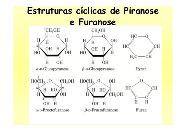 42951 carboidratos --introdução.2012