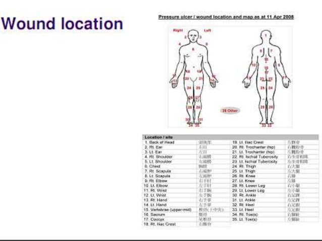 42954304112229-WOUND-assessment-1-ppt.ppt | Diseases and Conditions ...