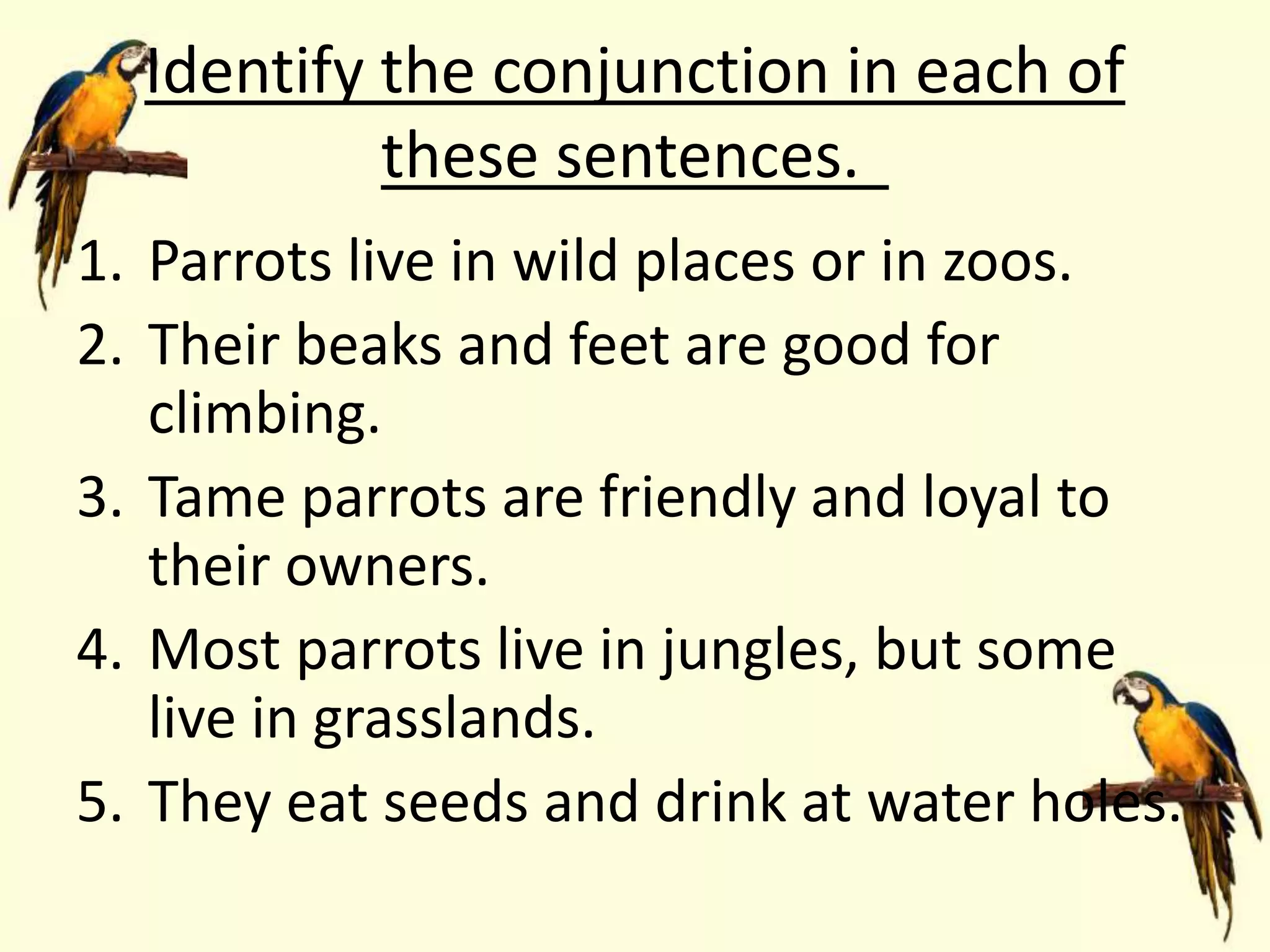 429726731-Conjunctions-PowerPoint.ppt | Birds | Pets