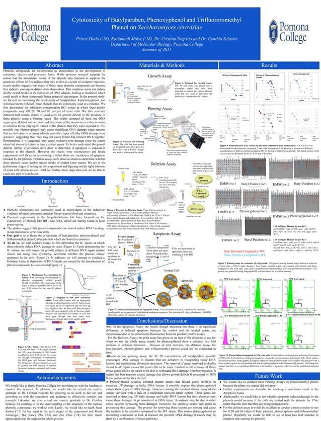 2015 SURP Poster Presentation (Final) | PDF