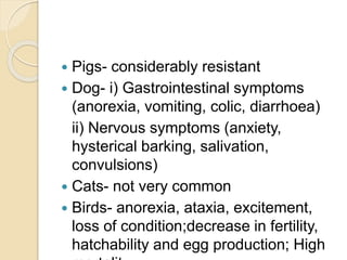 Arsenic and Lead Poisoning in Animals | PPTX