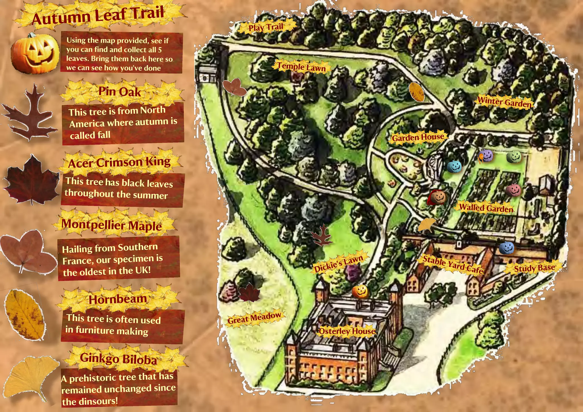 Pumpkin Festival Trail Map | PPT