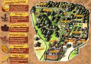 Pumpkin Festival Trail Map | PPT