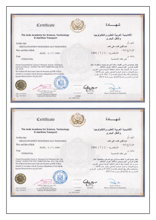 Abd El Mo'men Cv + Certificates Big | PDF