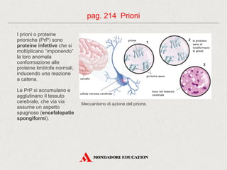 4 2 contaminazione biologica degli alimenti | PPT