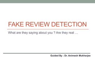 FAKE Review Detection | PDF