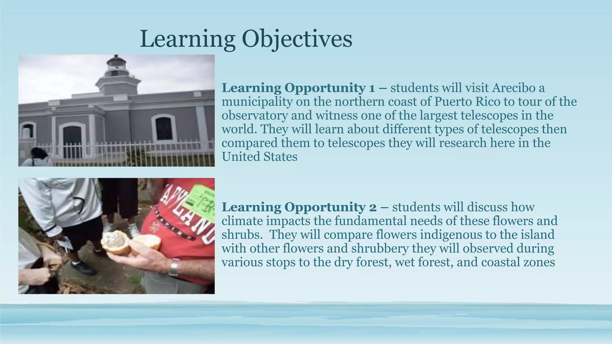 Lighthouse Partners Foundation | PPT