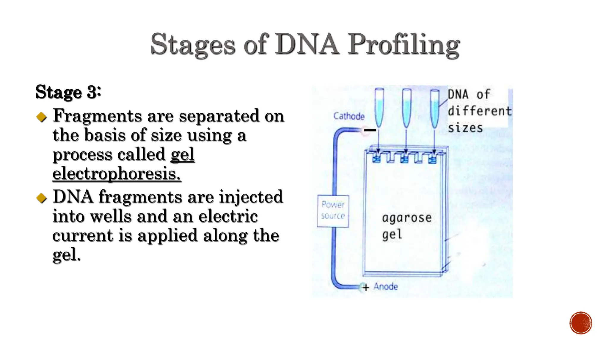 DNA PROFILING FORENSIC MEDICINE, MBBS 3RDYR | PPTX
