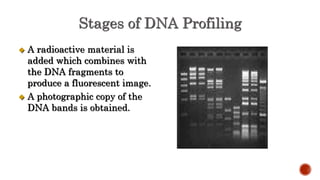 DNA PROFILING FORENSIC MEDICINE, MBBS 3RDYR | PPT