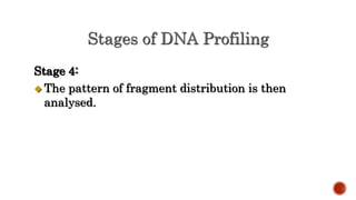 DNA PROFILING FORENSIC MEDICINE, MBBS 3RDYR | PPT