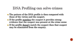 DNA PROFILING FORENSIC MEDICINE, MBBS 3RDYR | PPT