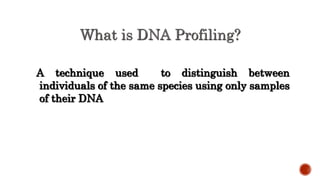 DNA PROFILING FORENSIC MEDICINE, MBBS 3RDYR | PPT