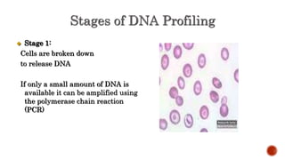 DNA PROFILING FORENSIC MEDICINE, MBBS 3RDYR | PPTX