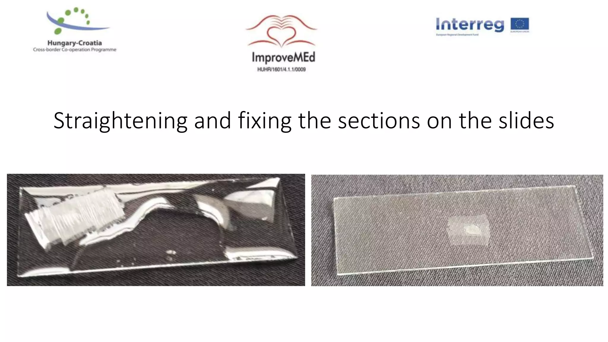 Embedding and sectioning of samples for histological analysis | PPTX