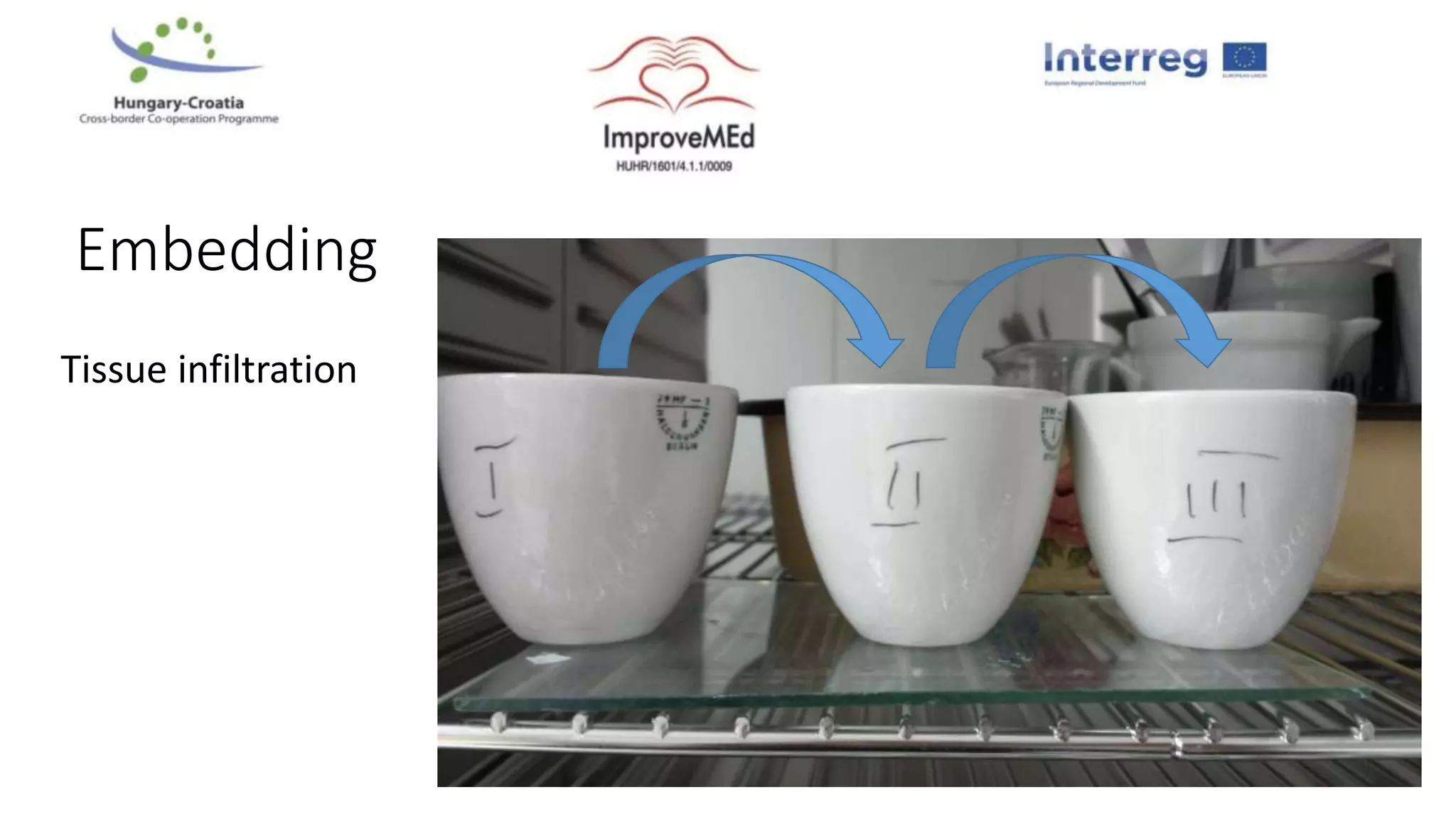 Embedding and sectioning of samples for histological analysis | PPTX