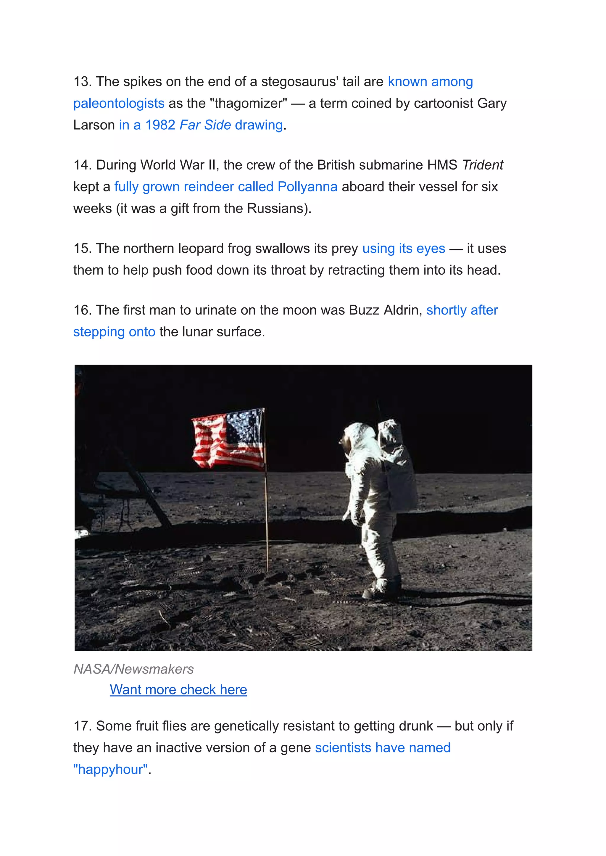 42 incredibly weird facts | PDF