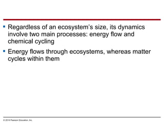 Chemical Cycling In An Ecosystem Pearson