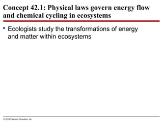 Energy Flow Through An Ecosystem Pearson