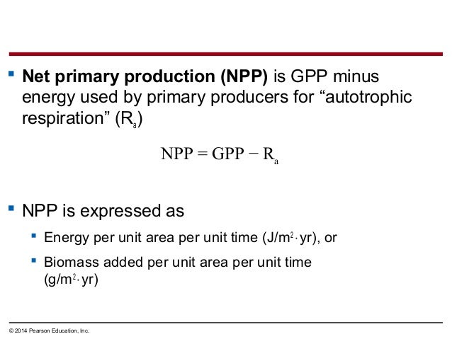 Biology in Focus - Chapter 42
