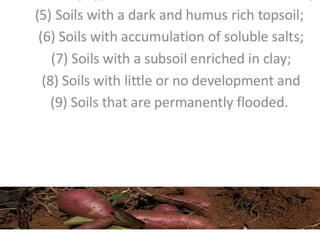 43.Soil as non renewable source A Lecture By Mr Allah Dad Khan | PPT