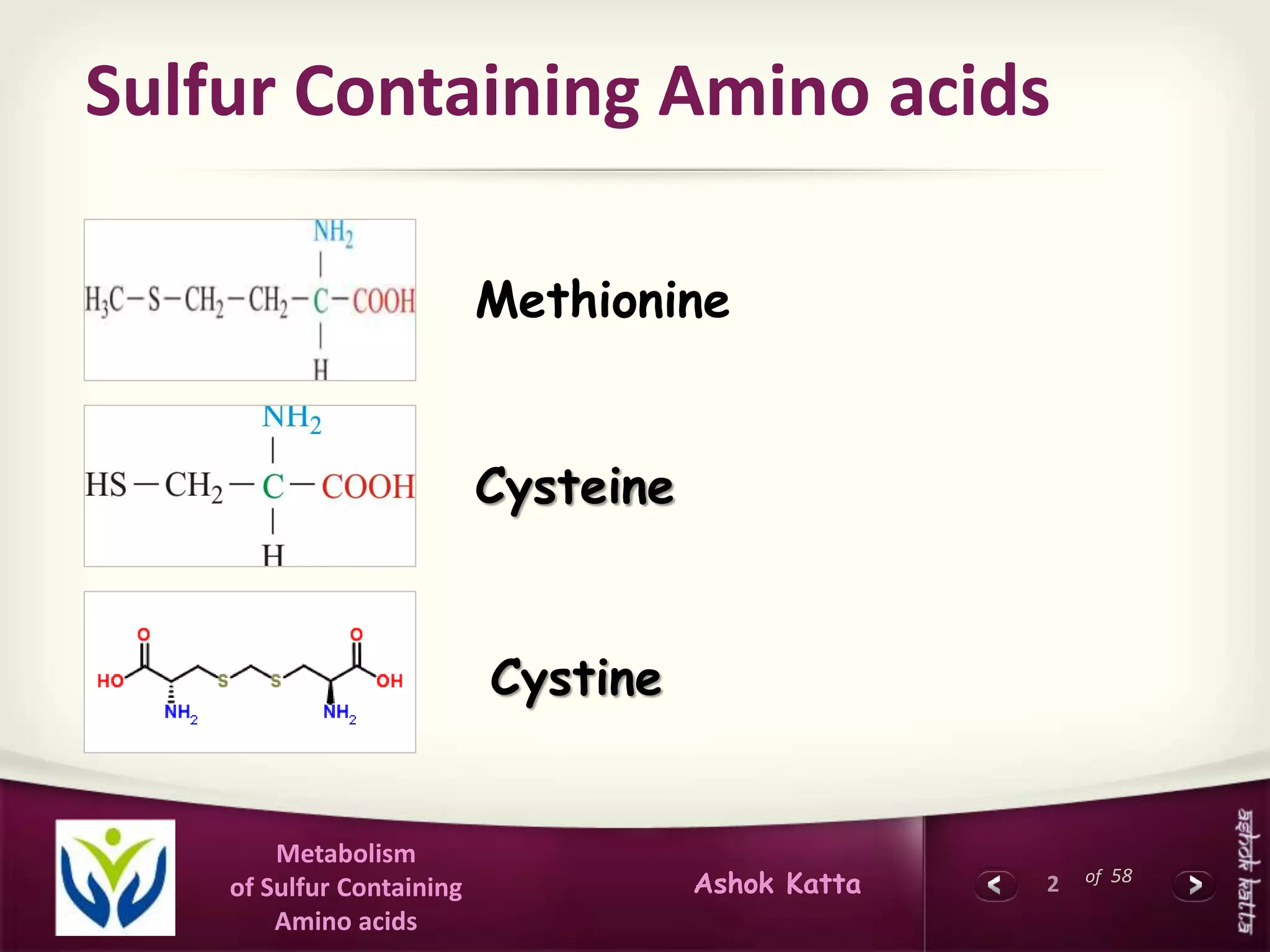 Metabolism of Sulfur Containing Amino Acids (Methionine, Cysteine ...