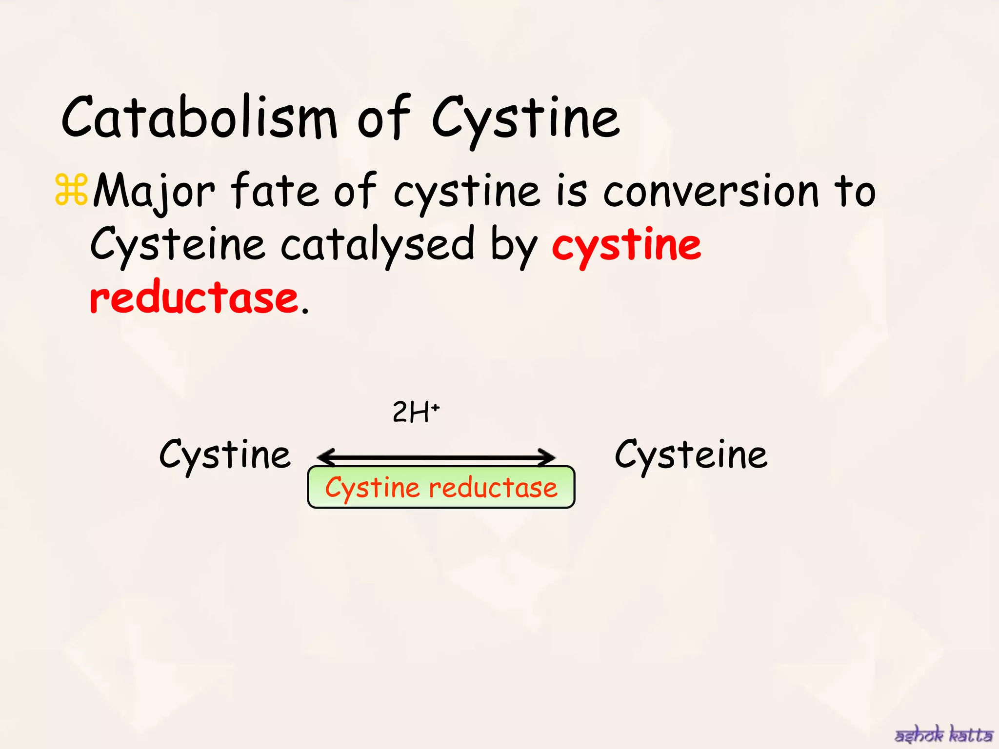 Metabolism of Sulfur Containing Amino Acids (Methionine, Cysteine ...