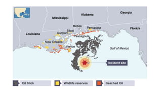 GEOGRAPHY IGCSE: ENVIRONMENT - WASTE AND POLLUTION | PPTX