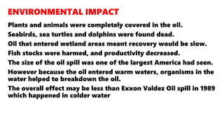 GEOGRAPHY IGCSE: ENVIRONMENT - WASTE AND POLLUTION | PPTX