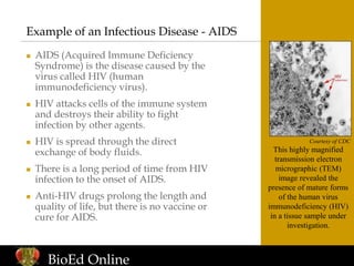 43.ppt