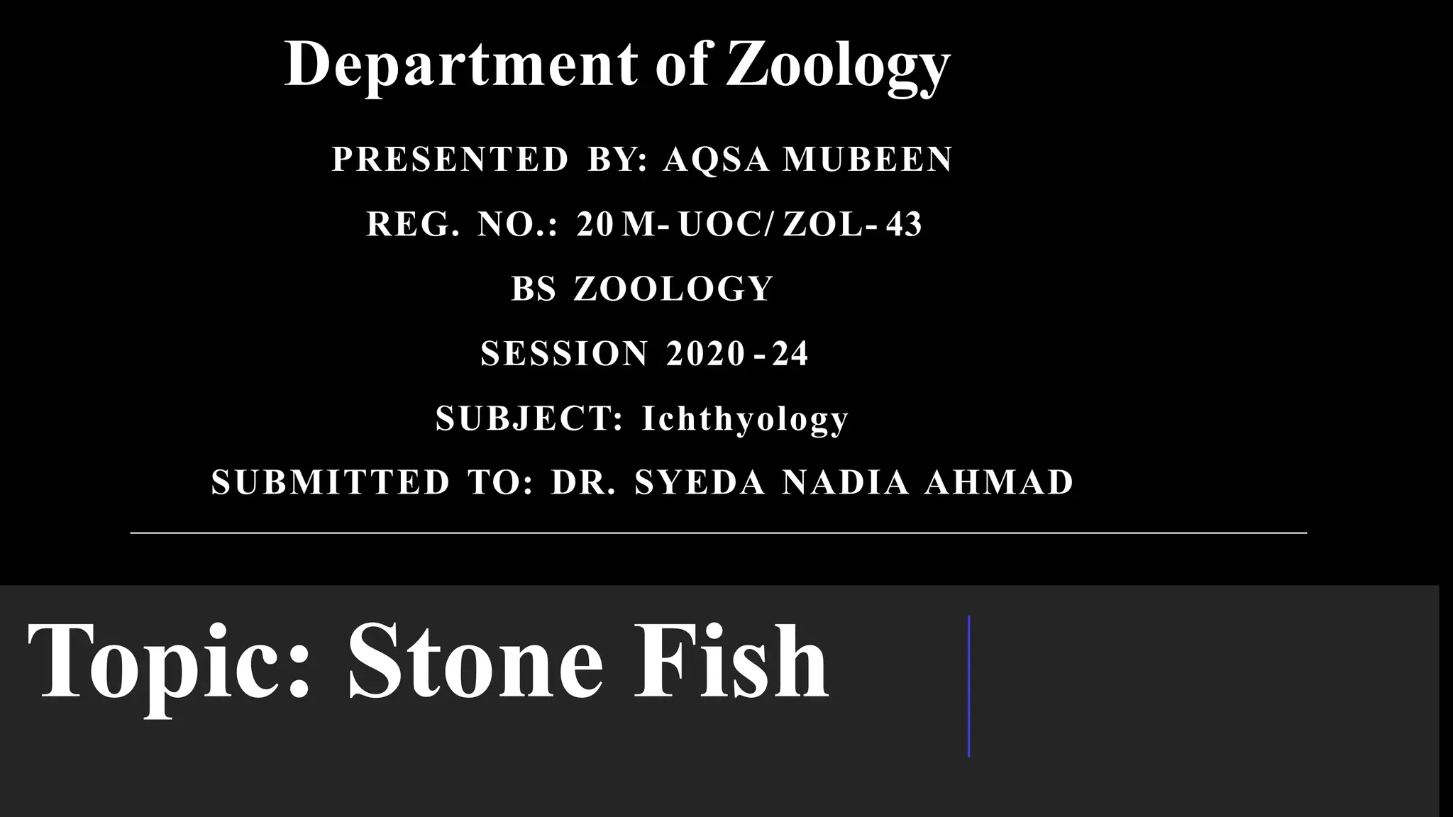 Introduction to Stone Fish and its meristic characters | PPTX