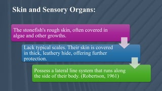 Introduction to Stone Fish and its meristic characters | PPTX