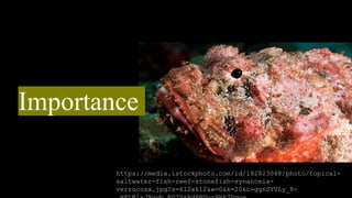 Introduction to Stone Fish and its meristic characters | PPTX